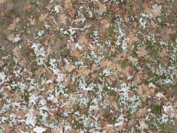 frozen ground texture 0027 - Texturelib
